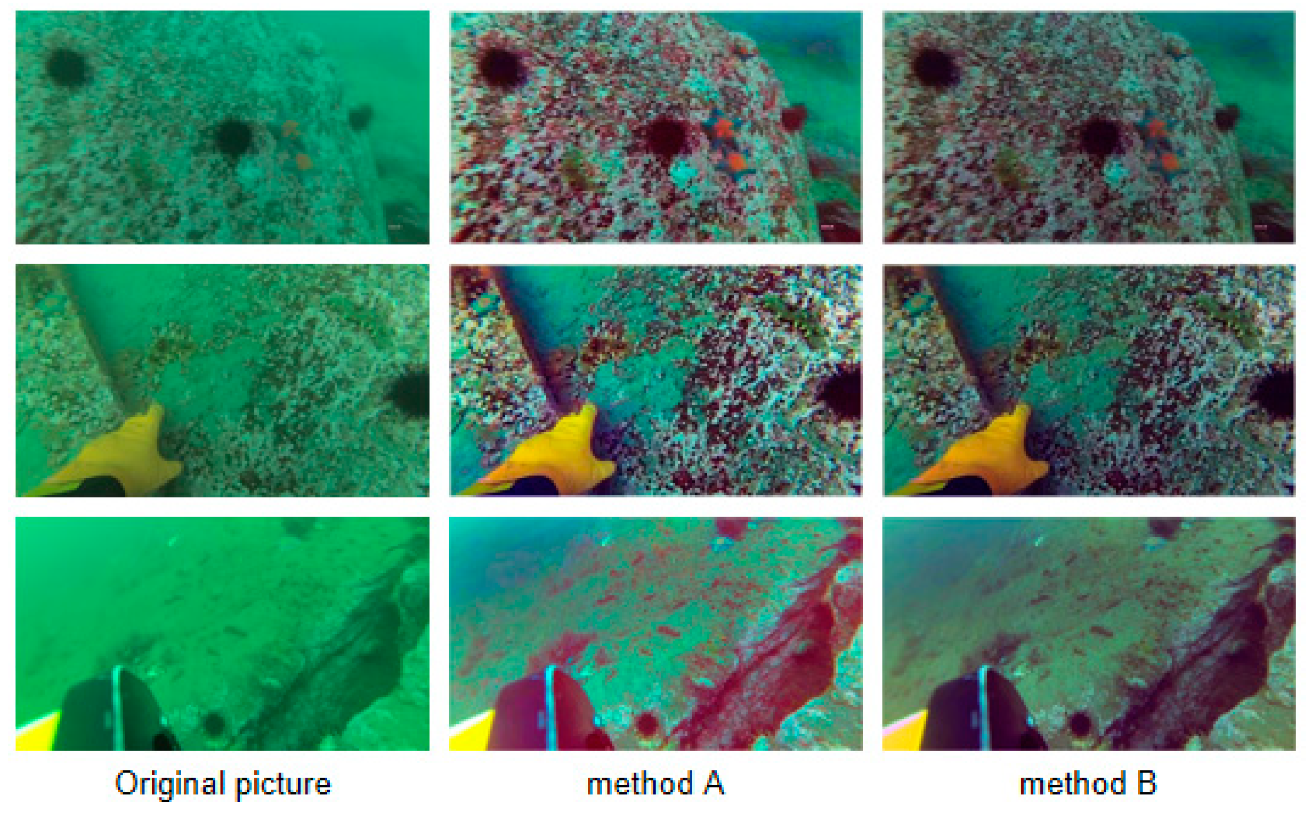 Electronics | Free Full-Text | Instance Segmentation of Underwater Images by Using Deep Learning