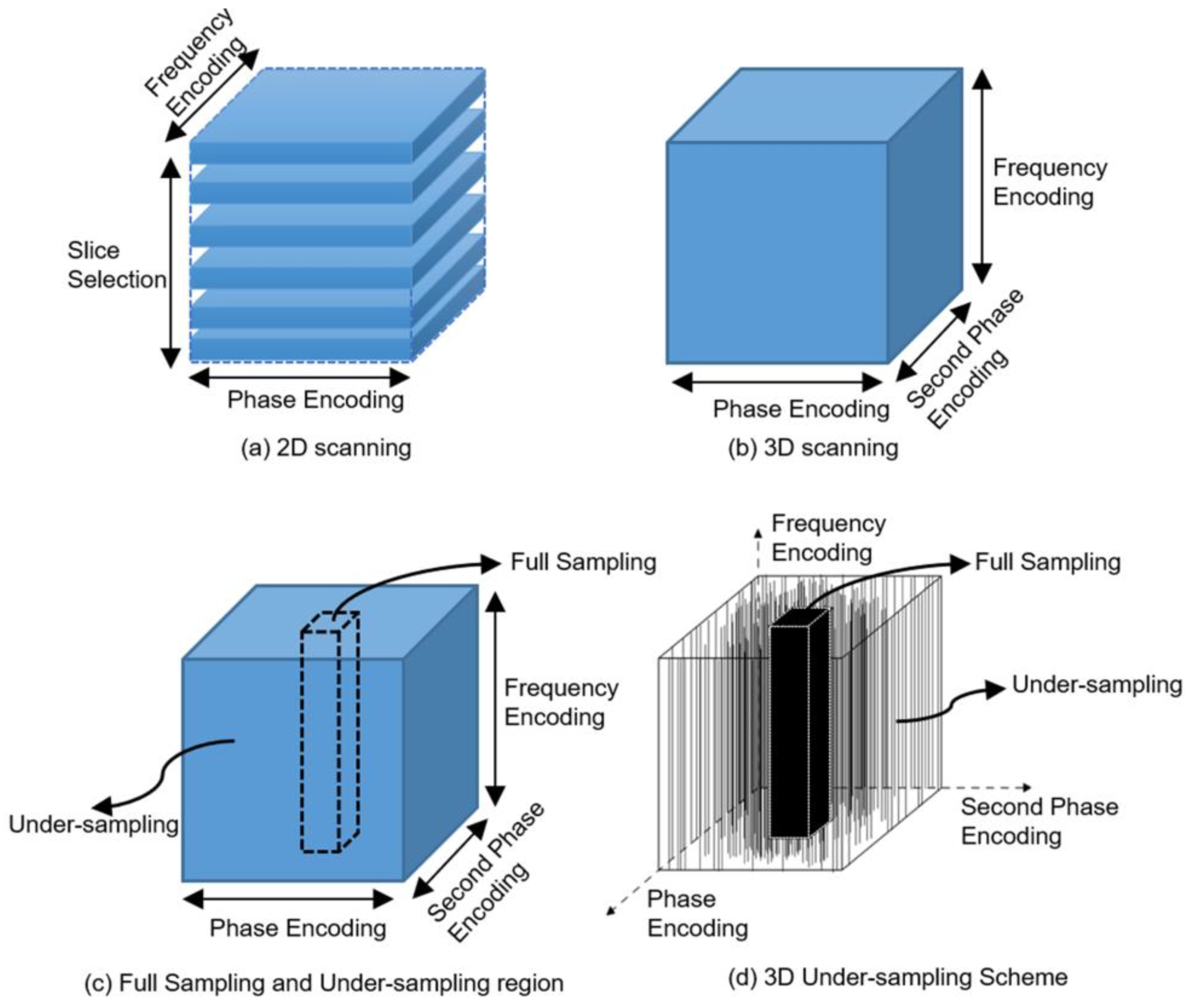 EEUR-Net: End-to-End Optimization of Under-Sampling and Reconstruction Network for 3D Magnetic ...