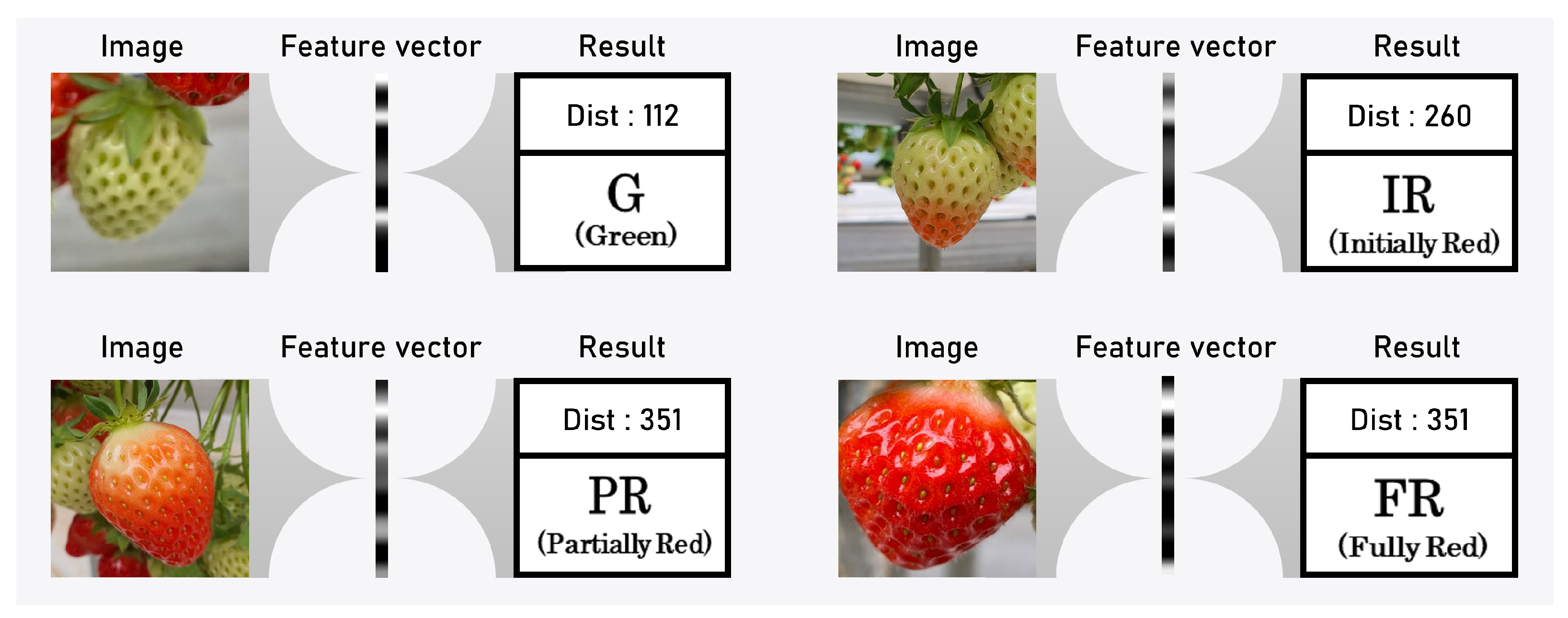 Electronics | Free Full-Text | Accelerating Strawberry Ripeness Classification Using a ...