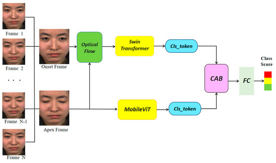 Dual-Branch Cross-Attention Network for Micro-Expression Recognition with Transformer Variants