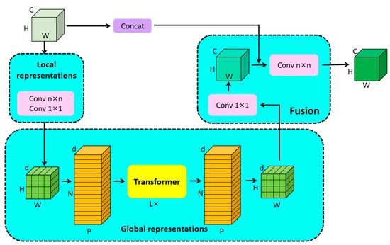 Dual-Branch Cross-Attention Network for Micro-Expression Recognition with Transformer Variants