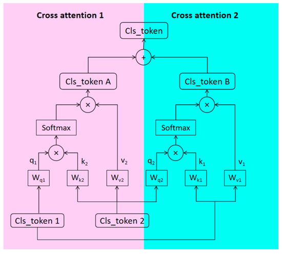 Dual-Branch Cross-Attention Network for Micro-Expression Recognition with Transformer Variants