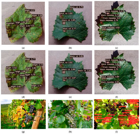 Detection of Small Lesions on Grape Leaves Based on Improved YOLOv7