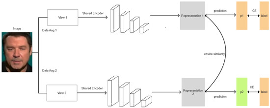 A Contemporary Survey on Deepfake Detection: Datasets, Algorithms, and ...