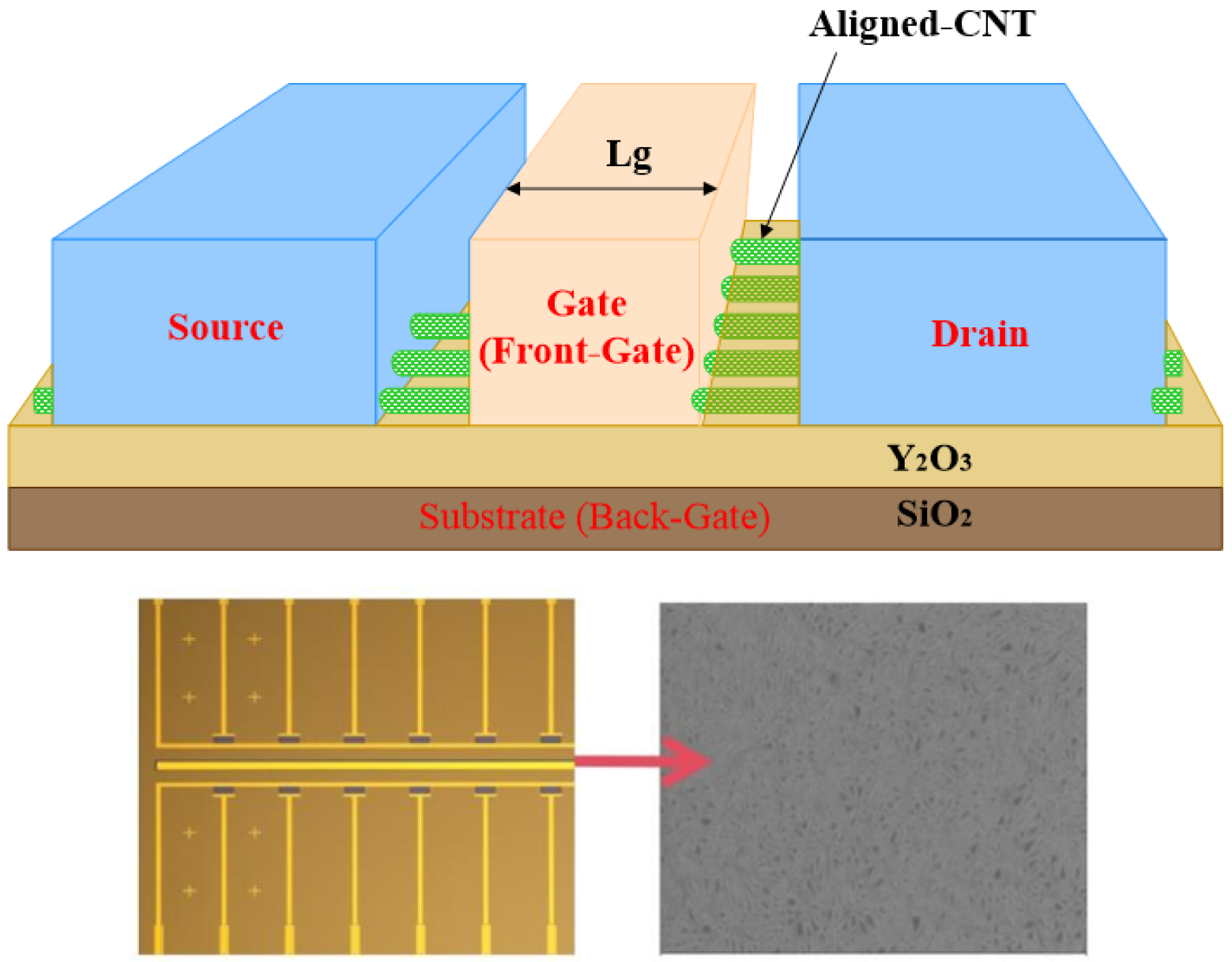 Full-Custom 90 nm CNTFET Process Design Kit: Characterization, Modeling ...