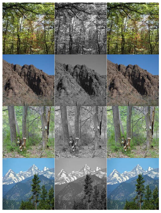 Low-Cost Training of Image-to-Image Diffusion Models with Incremental Learning and Task/Domain ...