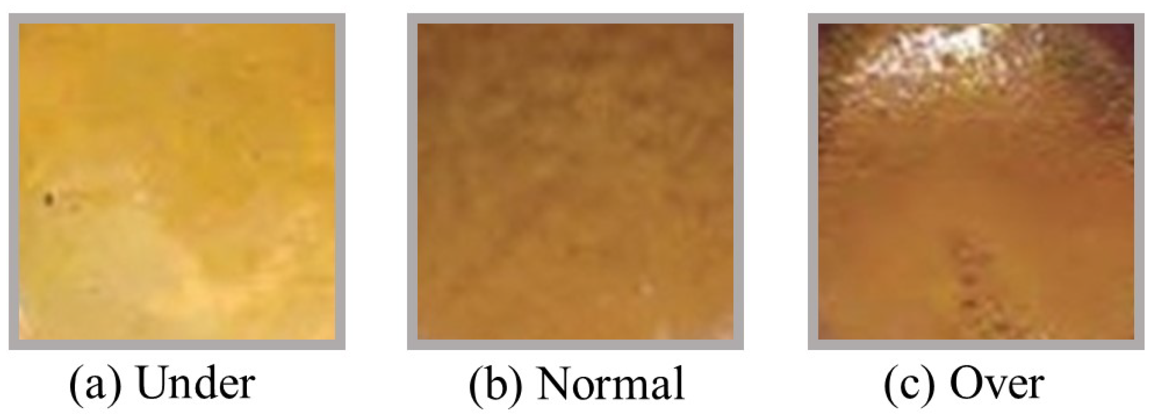 Lightweight Machine Learning Method for Real-Time Espresso Analysis