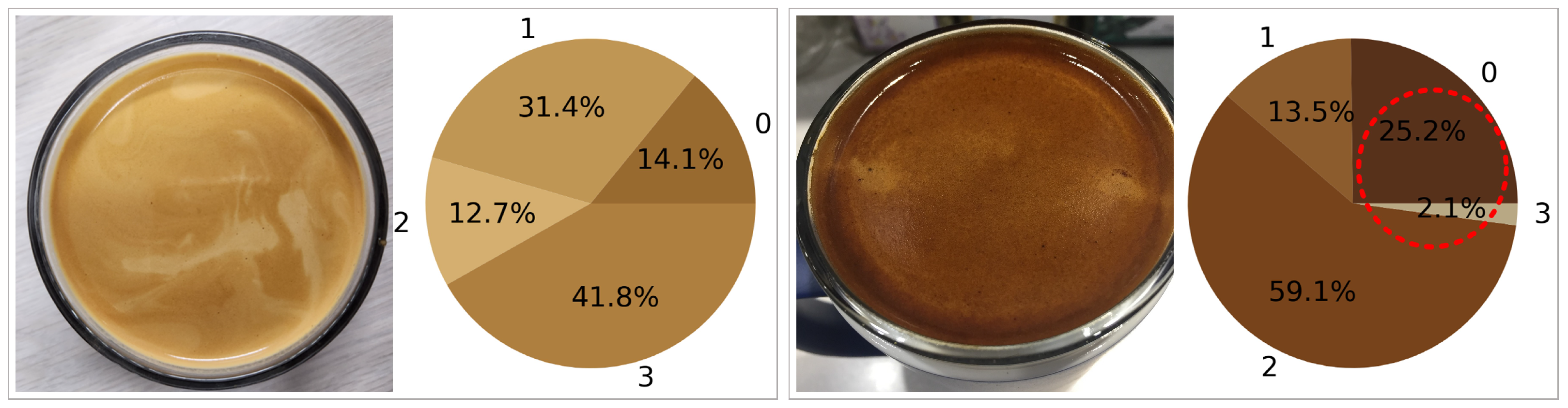 Lightweight Machine Learning Method for Real-Time Espresso Analysis