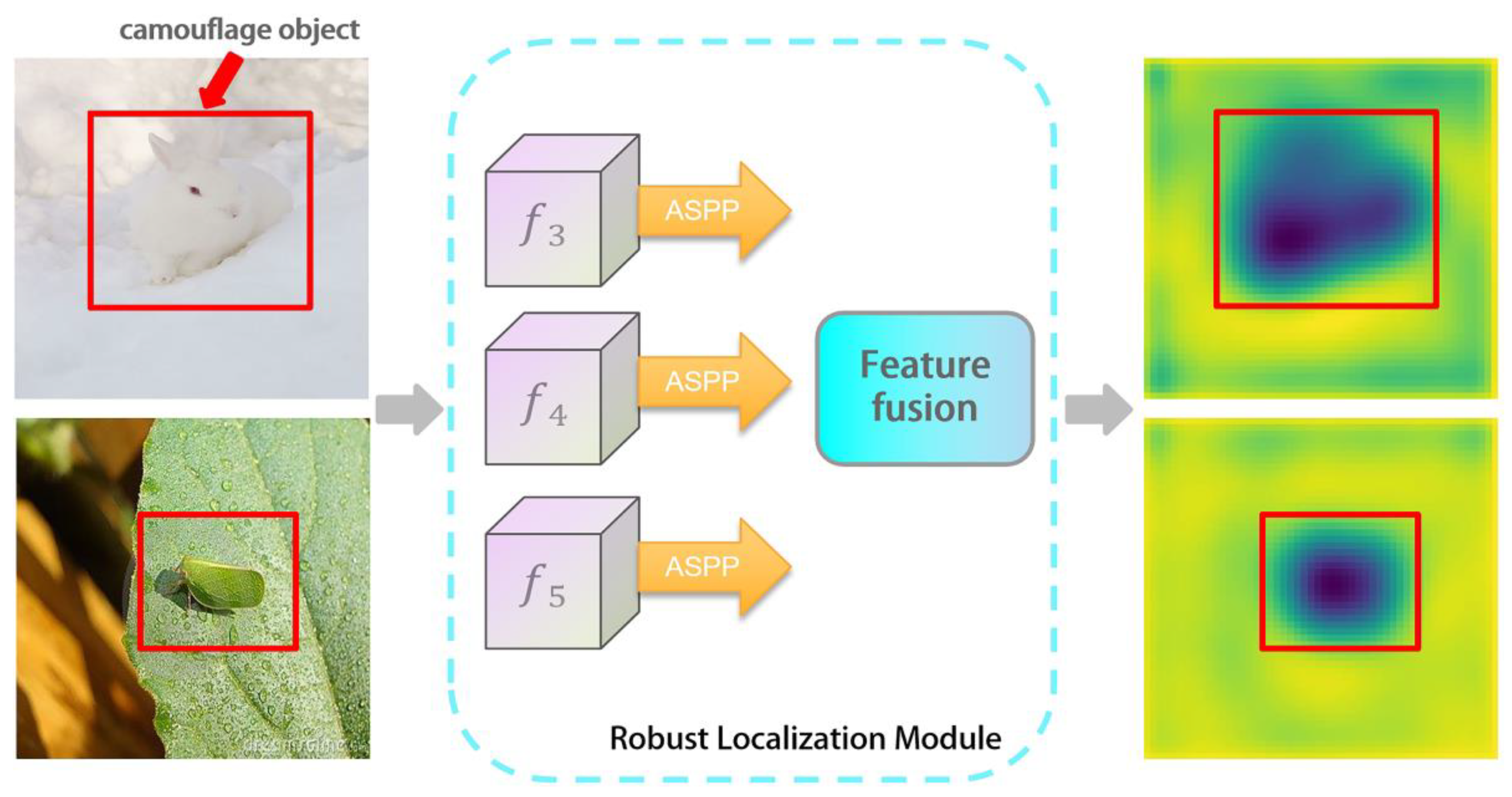 Robust Localization-Guided Dual-Branch Network for Camouflaged Object Segmentation