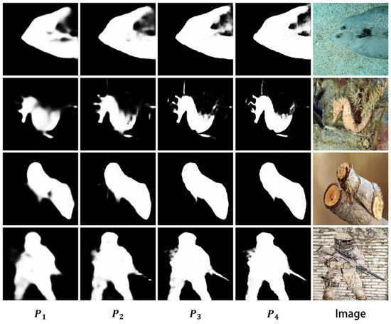 Robust Localization-Guided Dual-Branch Network for Camouflaged Object Segmentation