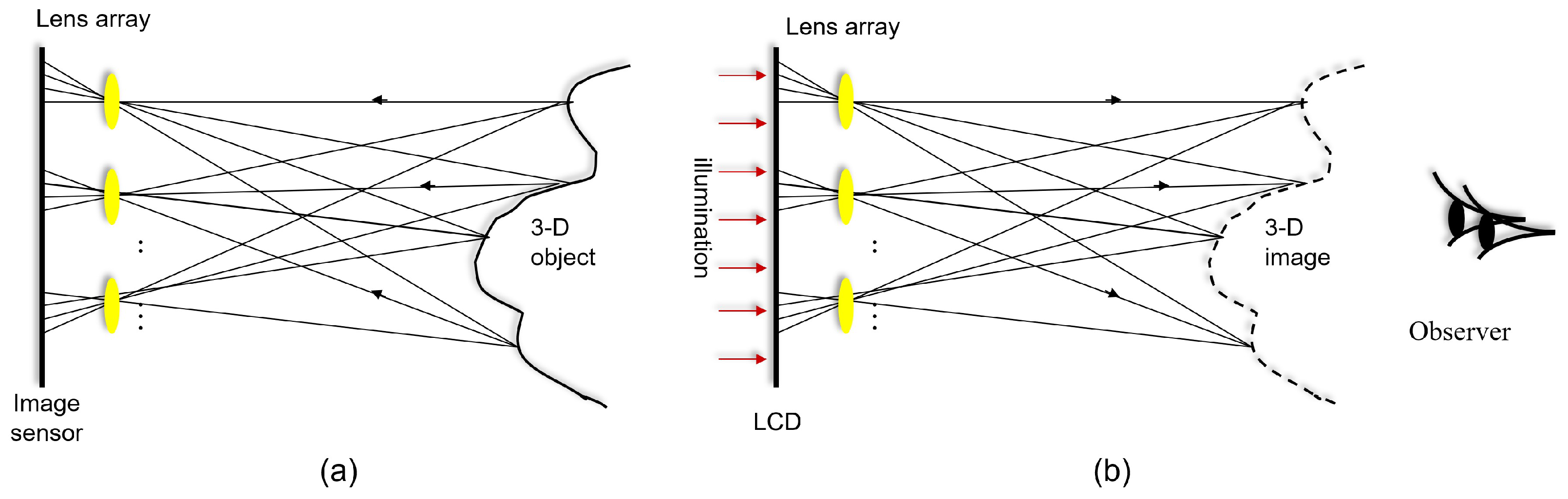 Three-Dimensional Double Random-Phase Encryption for Simultaneous Two-Primary Data