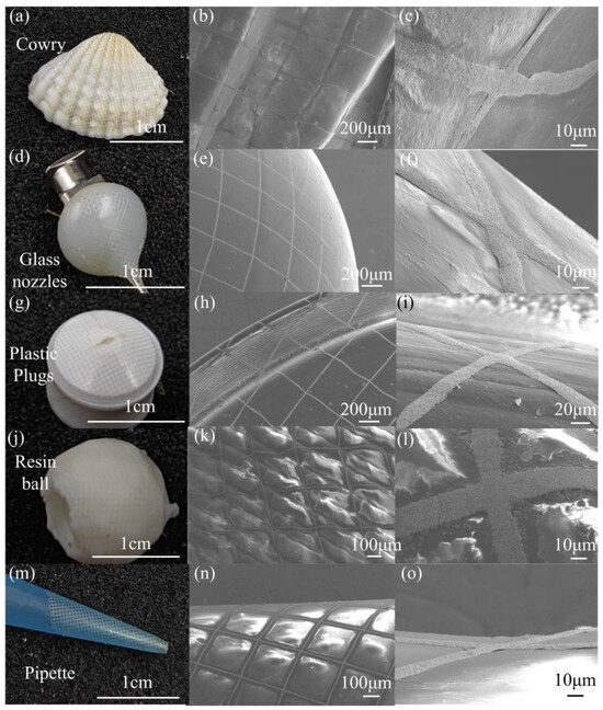 Electric Field-Driven Jetting and Water-Assisted Transfer Printing for ...