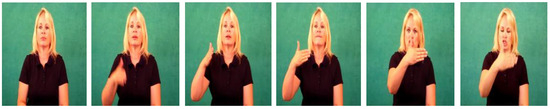 Isolated Video-Based Sign Language Recognition Using a Hybrid CNN-LSTM ...