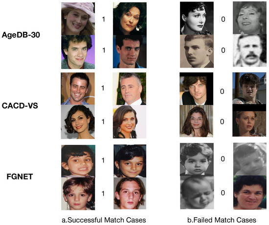 Hybrid Spatial-Channel Attention Mechanism for Cross-Age Face Recognition