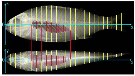 Acoustic Target Strength of Thornfish (Terapon jarbua) Based on the ...