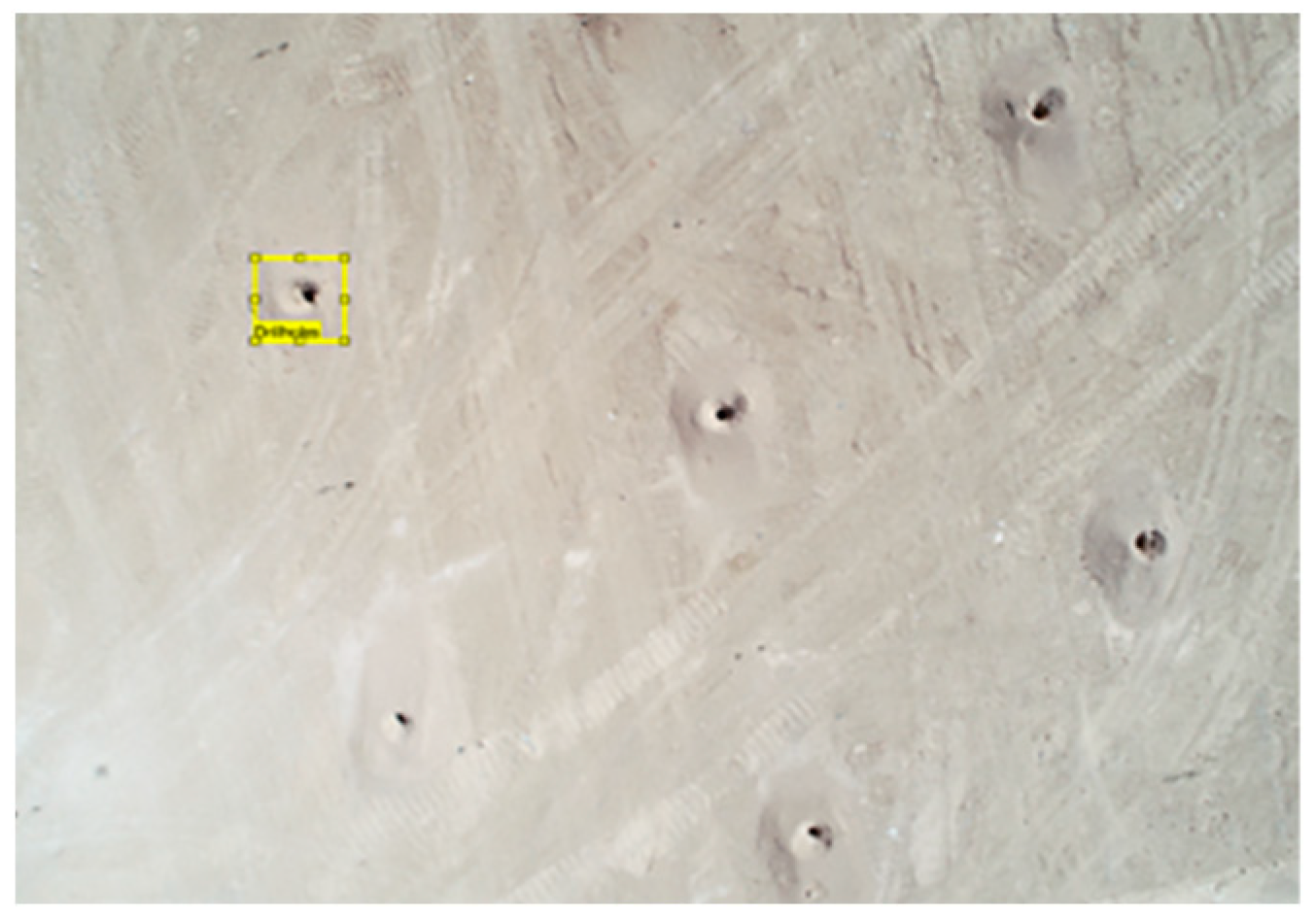 Electronics | Free Full-Text | Blasthole Location Detection Using Support Vector Machine and ...