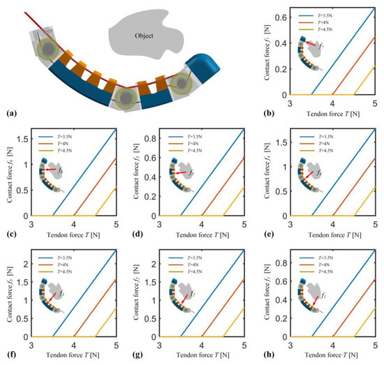 Modeling and Analysis of Stable Contact States in the Anthropomorphic ...