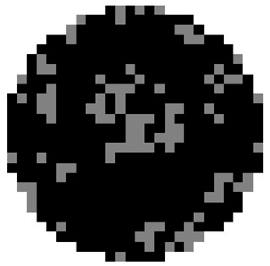 Development of a Wafer Defect Pattern Classifier Using Polar Coordinate ...