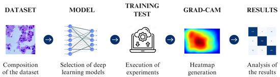 An Explainable Method for Lung Cancer Detection and Localisation from ...
