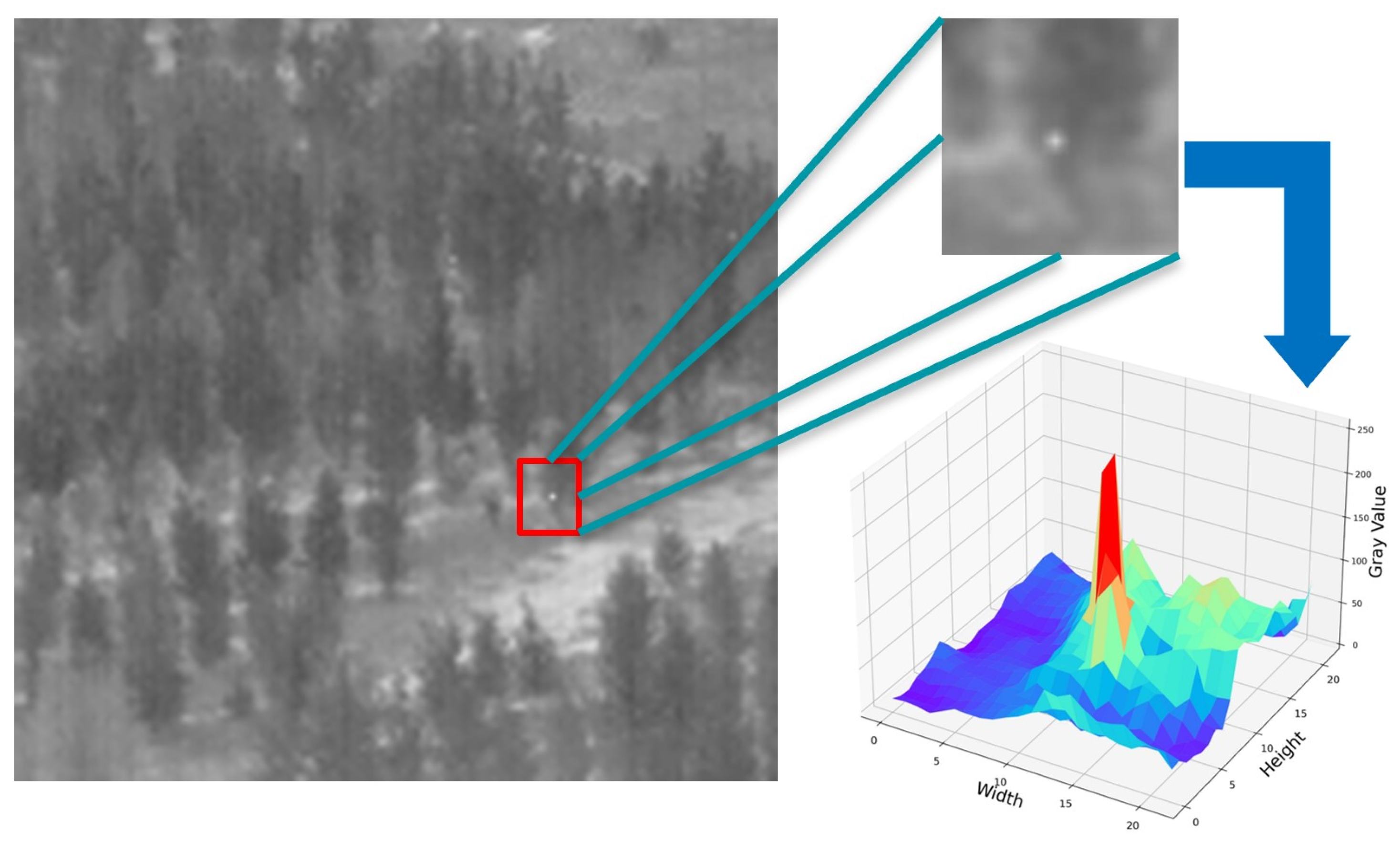 USES-Net: An Infrared Dim and Small Target Detection Network with Embedded Knowledge Priors