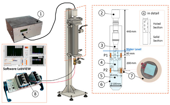 Unveiling Acoustic Cavitation Characterization in Opaque Chambers ...