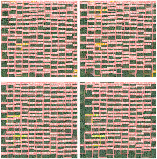 HR-YOLOv8: A Crop Growth Status Object Detection Method Based on YOLOv8