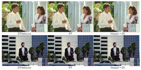 A Dynamic Network with Transformer for Image Denoising