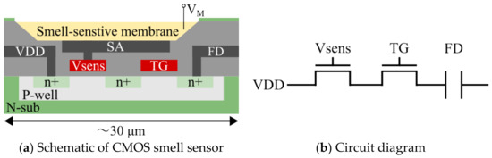 Detecting Smell/Gas-Source Direction Using Output Voltage Characteristics of a CMOS Smell Sensor