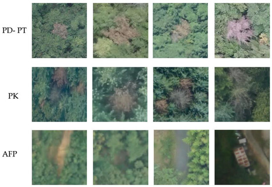 Pine Wilt Disease Segmentation with Deep Metric Learning Species Classification for Early-Stage ...