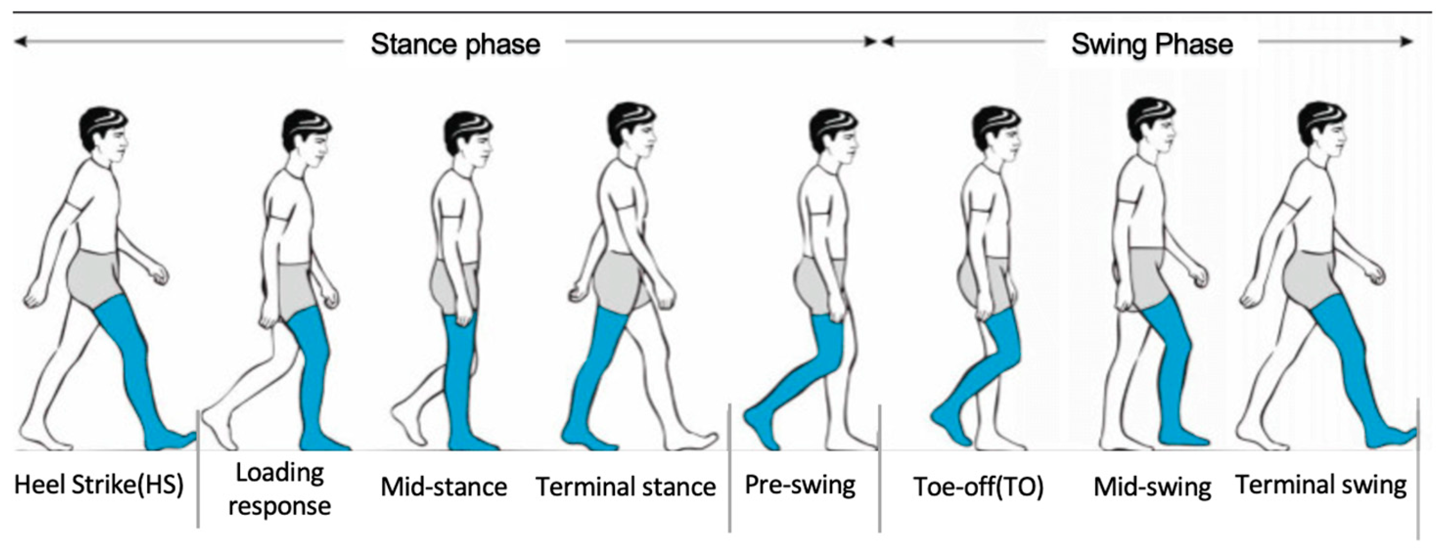 Gait Pattern Identification Using Gait Features