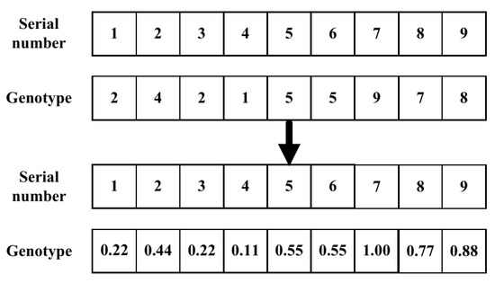 Multi-Objective Automatic Clustering Algorithm Based on Evolutionary ...