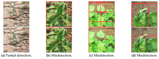 A Lightweight and Dynamic Feature Aggregation Method for Cotton Field ...