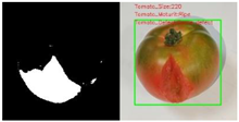 Tomato Sorting System Based on Machine Vision