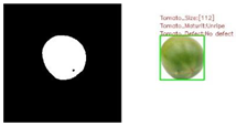 Tomato Sorting System Based on Machine Vision