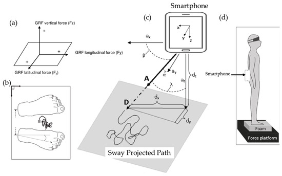Evaluating Visual Dependence in Postural Stability Using Smartphone and ...