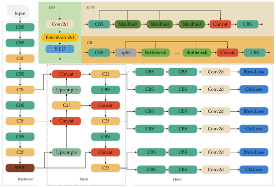 RVDR-YOLOv8: A Weed Target Detection Model Based on Improved YOLOv8