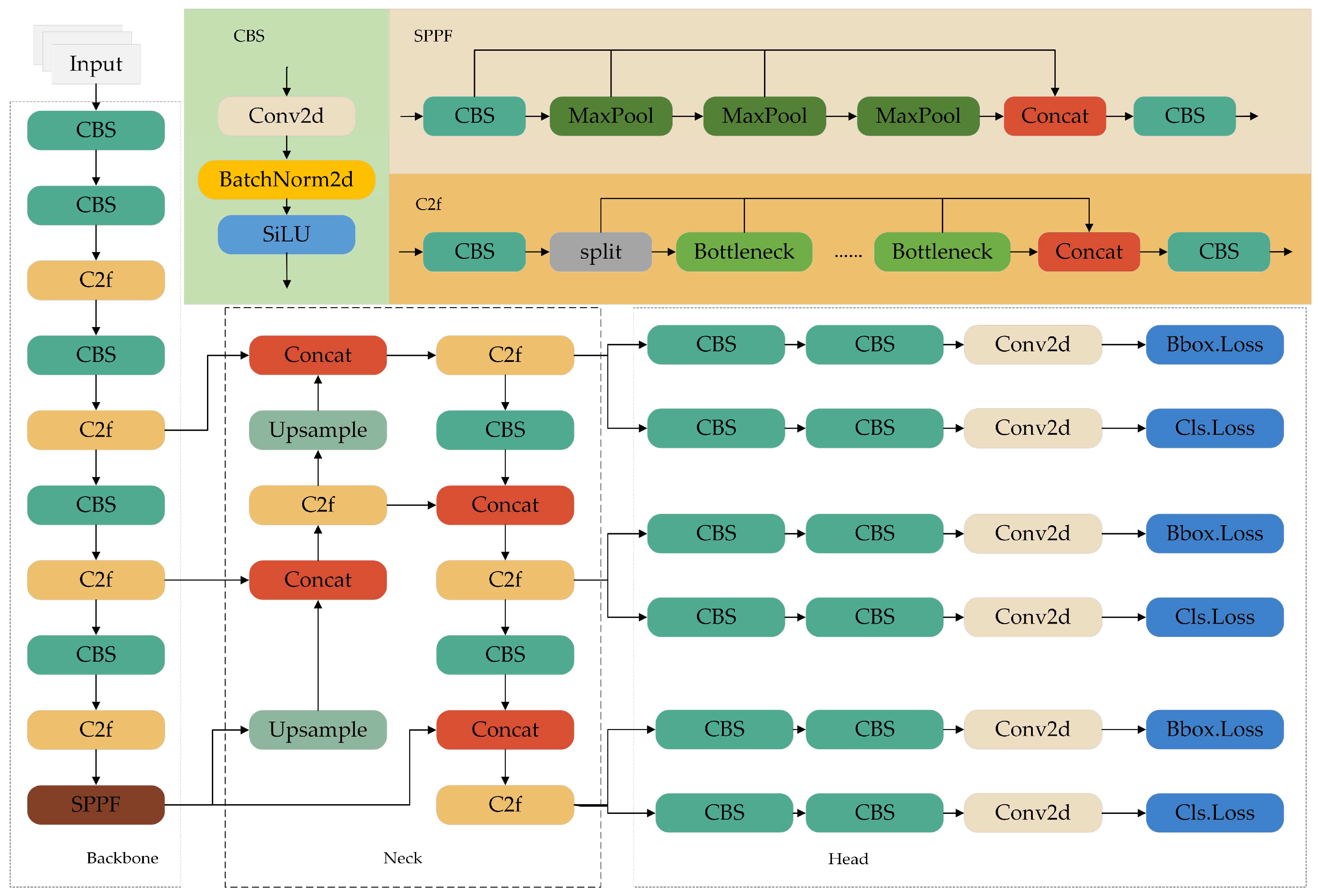 RVDR-YOLOv8: A Weed Target Detection Model Based on Improved YOLOv8