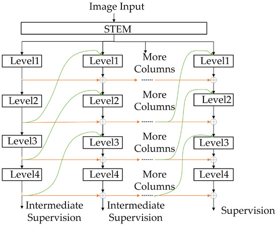 RVDR-YOLOv8: A Weed Target Detection Model Based on Improved YOLOv8