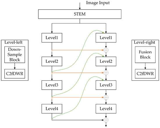 RVDR-YOLOv8: A Weed Target Detection Model Based on Improved YOLOv8
