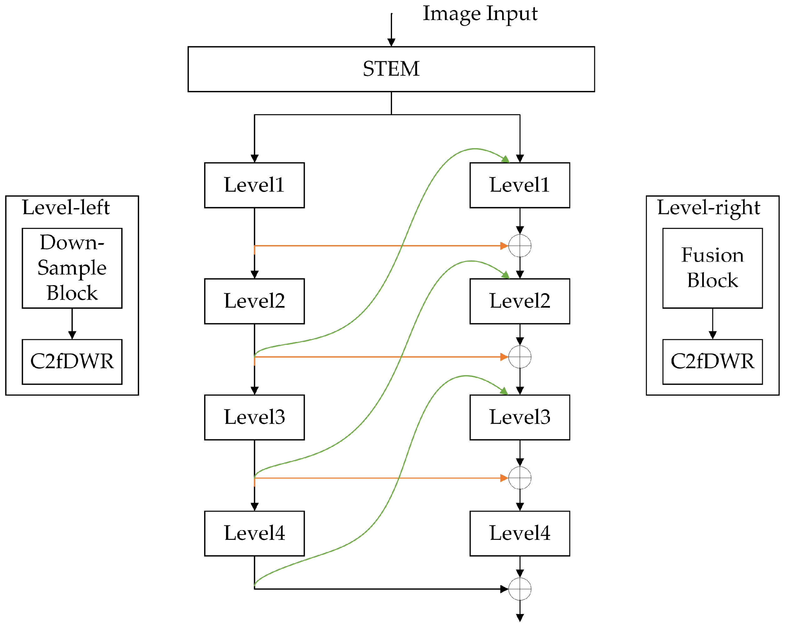 RVDR-YOLOv8: A Weed Target Detection Model Based on Improved YOLOv8