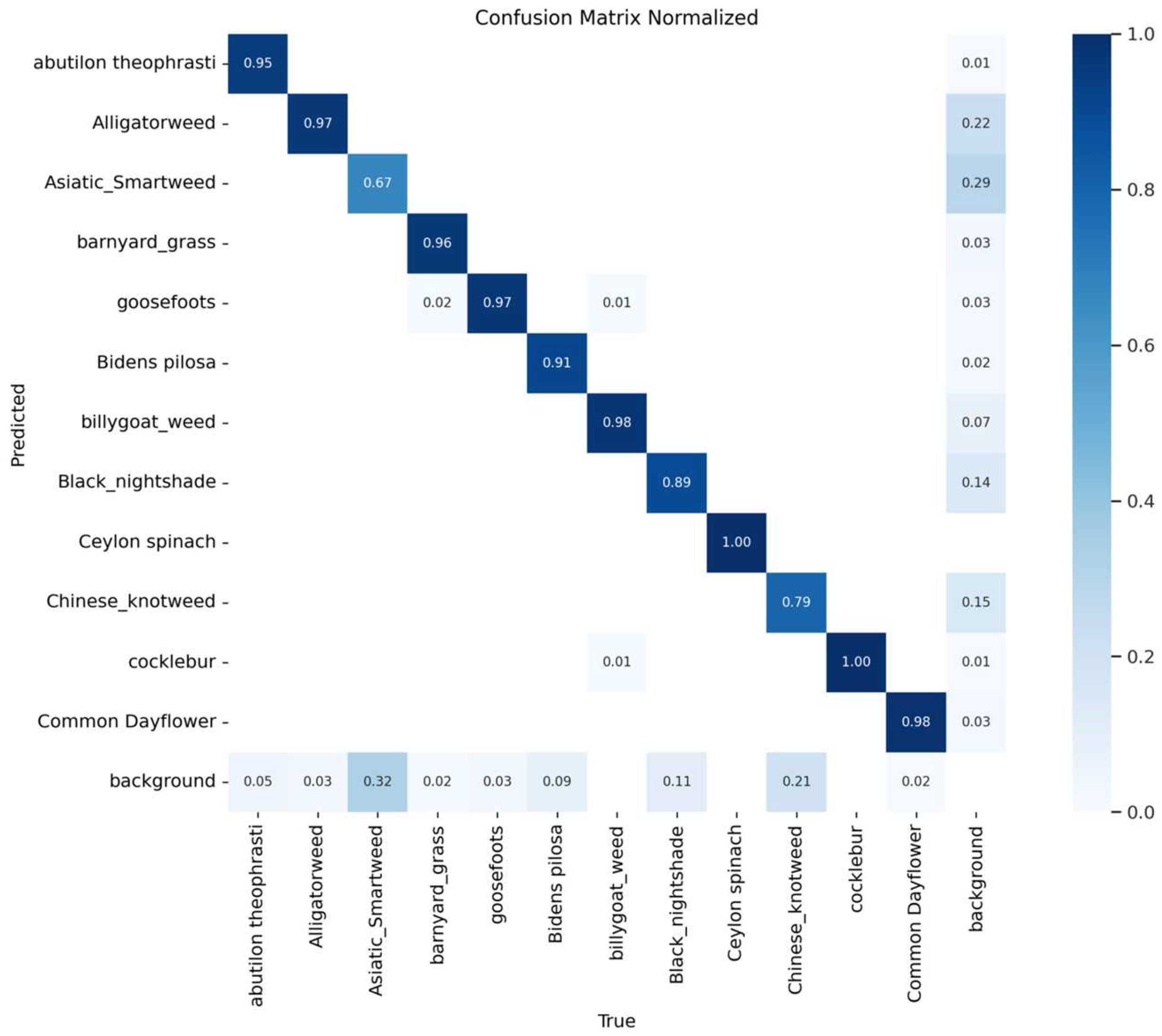 RVDR-YOLOv8: A Weed Target Detection Model Based on Improved YOLOv8