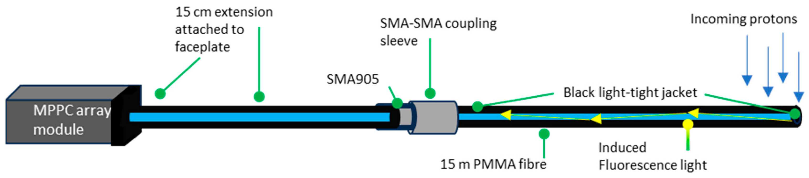 Multi-Point Sensing via Organic Optical Fibres for FLASH Proton Therapy