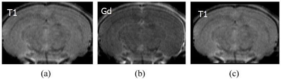 IFSrNet: Multi-Scale IFS Feature-Guided Registration Network Using Multispectral Image-to-Image ...
