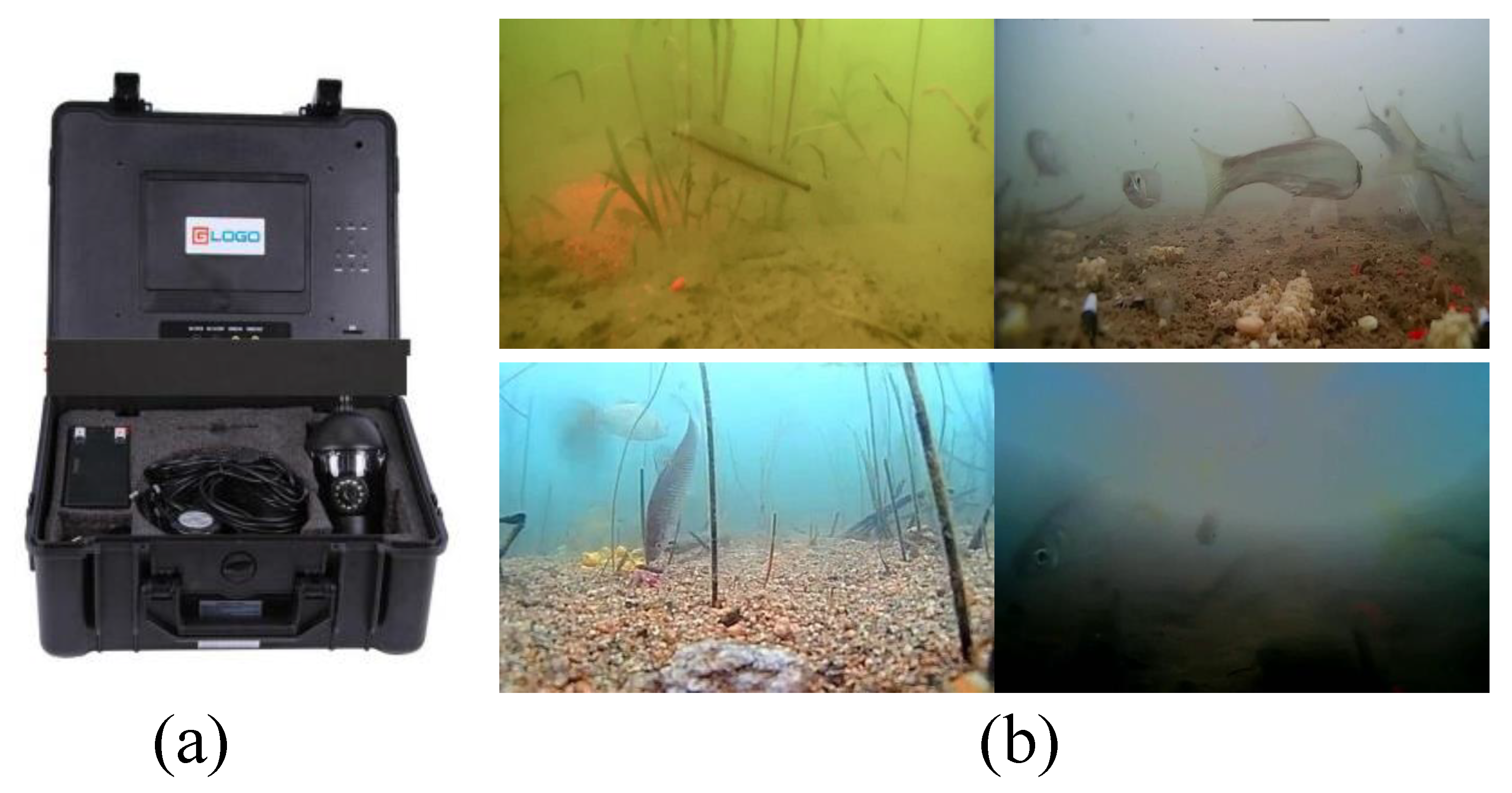 Electronics | Free Full-Text | Underwater Fish Object Detection with ...