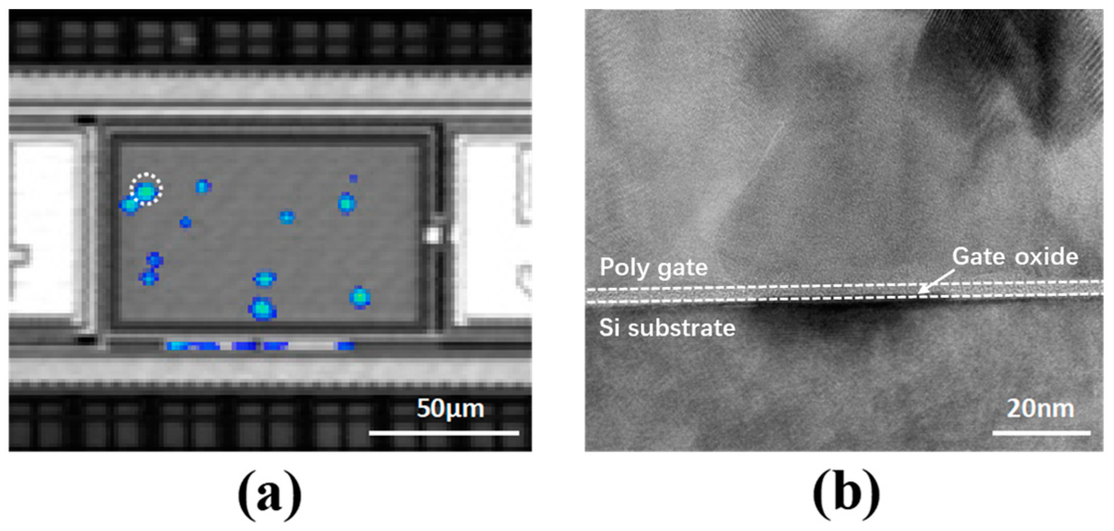 Effects of Fe Contamination on the Reliability of Gate Oxide Integrity in Advanced CMOS Technology