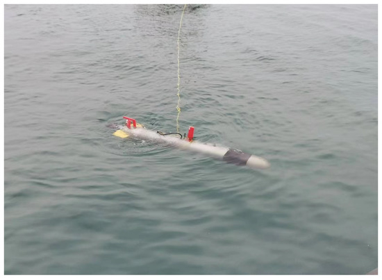 A Robust and Adaptive AUV Integrated Navigation Algorithm Based on a ...