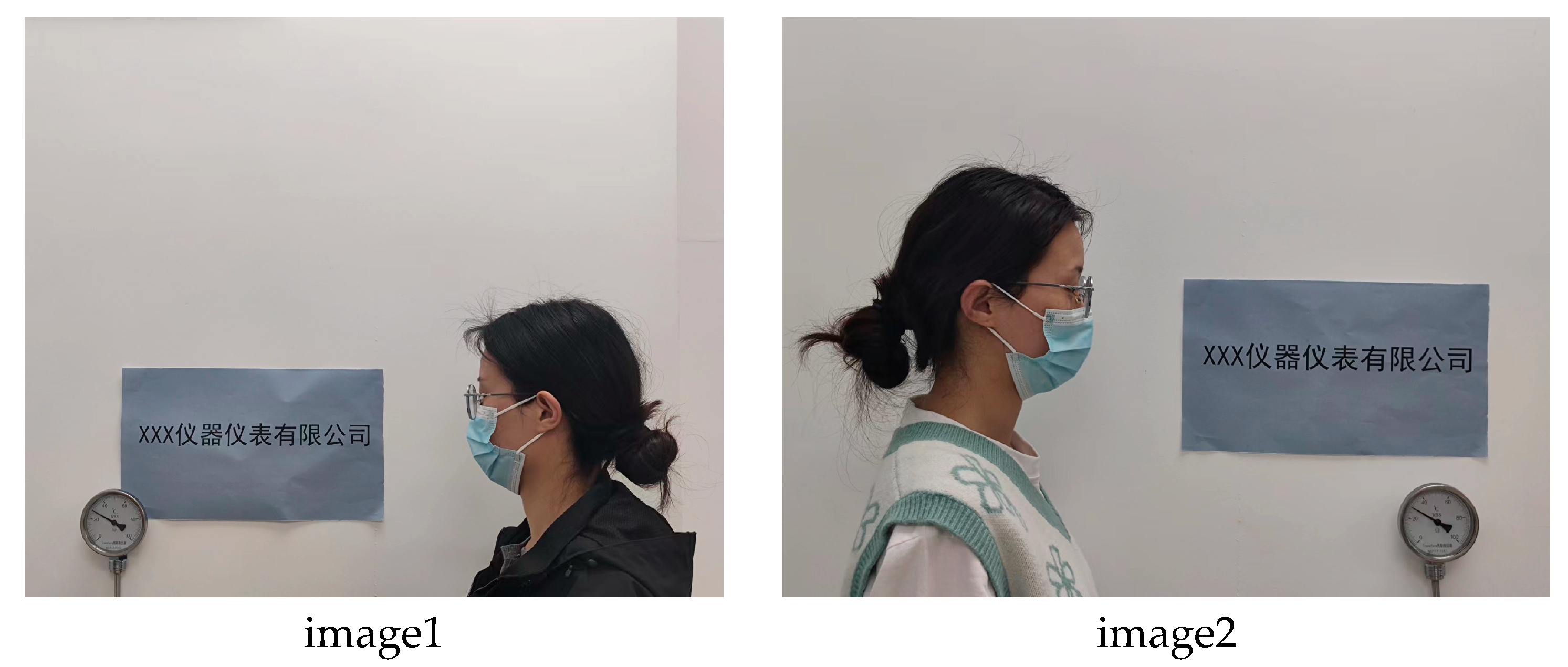 Electronics | Free Full-Text | Multi-Objective Region Encryption Algorithm Based on Adaptive ...