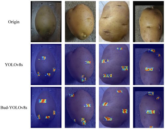 Bud-YOLOv8s: A Potato Bud-Eye-Detection Algorithm Based on Improved YOLOv8s