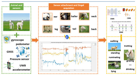 Prediction of Health Status of Small-Tailed Cold Sheep Based on ...