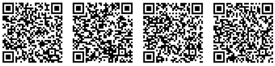 Steganography in QR Codes—Information Hiding with Suboptimal Segmentation